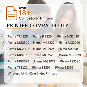 Inktopia Compatible Ink Cartridge Replacement for Canon 245XL PG-245XL PG245XL PG-243 for Pixma MX492 MG2522 MG2922 MG2920 MG2520 MG2420 MX490 MG2525 Printer (2 Black)