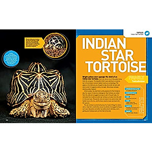 Ultimate Reptileopedia: The Most Complete Reptile Reference Ever