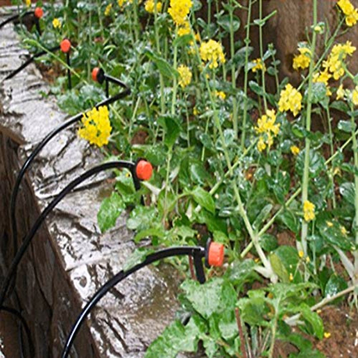 Koleso 25m 4/7mm Irrigator Dripper Hose Kits DIY Micro Drip Irrigation System 30 Drip Nozzles Garden Watering