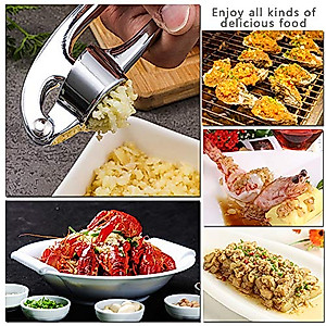 Garlic Press, Stainless Steel Garlic Press Tool with Cleaning Brush and Silicone Garlic Peeler 3 Pcs By Lechay