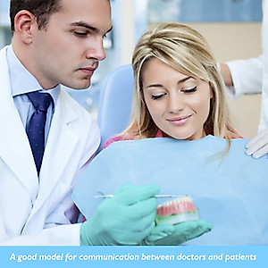 faruijie Overdenture Model - Implant Overdenture Model Lower Denture Model with Four Implants Dental Model Overdenture for Teaching and Studying