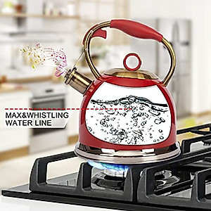 Tea Kettle, Stovetop Whistling Teapot, Stainless Steel, Black, 3.0-Quart