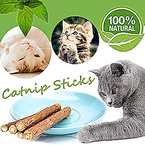 10 PCS Catnip Sticks Organic Cat Chew Toys Natural Plant Matatabi Silvervine Chew Sticks Cat Teeth Cleaning Chew Toy Cat Kitten Kitty 1