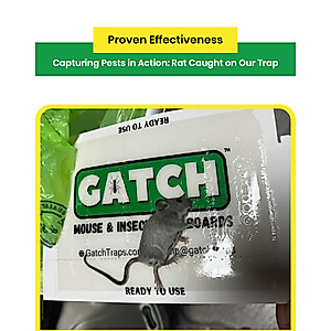 GATCH Glue Boards (72pk - Green, Scented, 72, Count)