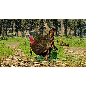 Cabela's North American Adventures