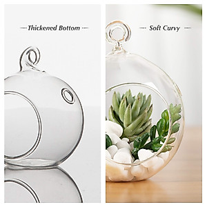 WGV Hanging Terrarium Globe, Width 8", Height 9", DIY Air Succulent Planter, Clear Glass Vase Orb with Flat Bottom, Candle Holder for Windowsill Outdoor Garden Decor, 6 Pieces Bulk