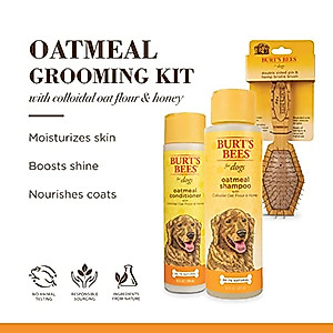 Burt's Bees Bundle Oatmeal Grooming Kit | Includes Oatmeal Dog Shampoo and Conditioner with Colloidal Oat Flour and Honey, and Double Sided Pin & Bristle Brush