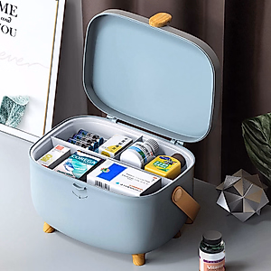 TOWEBOORY Medicine Storage Box,Oval Medicine Box Organizer Storage, Plastic Medical Storage Containers, Oval Double Layers Multi Grid Large Capacity Medical Box Organizer for Home Dorm (Glacier Blue)