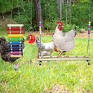 WDSHCR Chicken Toys Chicken Xylophone Toys for Hens, Chicken Swing Ladder Toys and Vegetable Hanging Feeder for Chicken Coop 3 Packs (A)