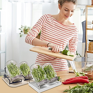 Byazya Sprouting Jar Kit - 4PCS Stainless Steel Screen Sprouting Lids, Tray, 2 Sprouting Jar Stand, for Regular and Wide Mouth Mason Jars (Jars NOT Included) - Growing Broccoli, Alfalfa, Mung Bean