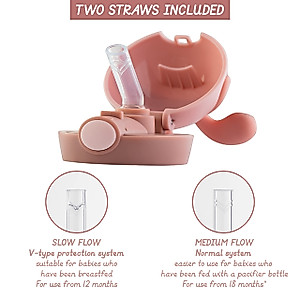 SIECKO Stainless Steel Baby Water Bottle - Straw Sippy Cups For Toddlers - 2 Kinds of Lids - Pacifier and Straw Sippy Cup - Double Walled - Insulated Baby Bottle - 9Oz