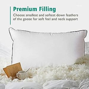 APSMILE Goose Feather Down Pillows -Single Pack Soft Bed Pillows for Sleeping 100% Organic Cotton Standard Size Hotel-Quality Pillows Insert for Stomach/Back Sleepers
