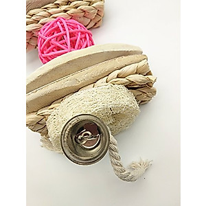 Hypeety Bird Parrot Cuttlebone Toy Bird Chew Toy Colorful Rattan Ball Toy Safe and Fun for African Grey, Amazon Conure Cockatoo Macaw Cockatiel