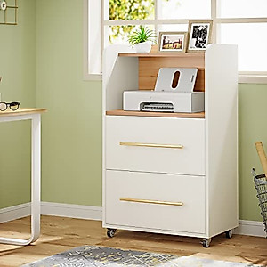 Tribesigns Lateral File Cabinet with 2 Drawers, Modern White Filing Cabinet Wood Rolling Filing Cabinets for Letter/Letter/A4 Size Files, Mobile Printer Stand with Open Shelves for Home Office (43"H)