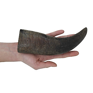 peaksNpaws Premium Free Range & Grass Fed Buffalo Horns - Medium
