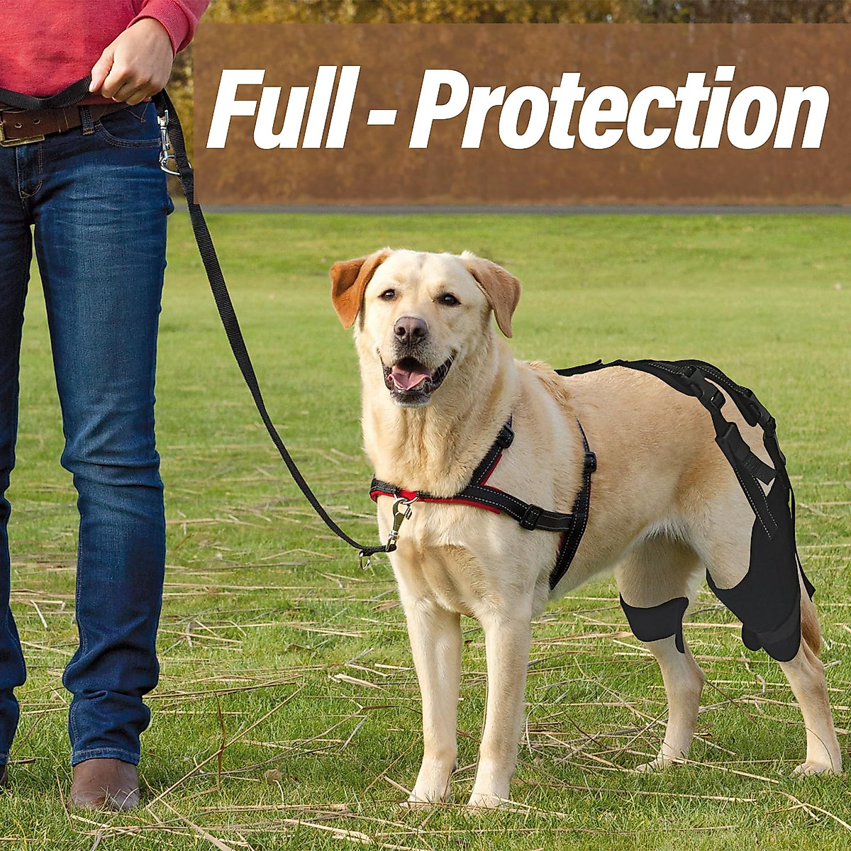 Dog Knee Brace with Side Stabilizers - Support for Dog ACL CCL Cruciate Ligament Injury Joint Pain and Muscle Sore（Size XXL