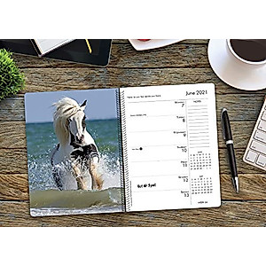 What Horses Teach Us 2021 Engagement Calendar