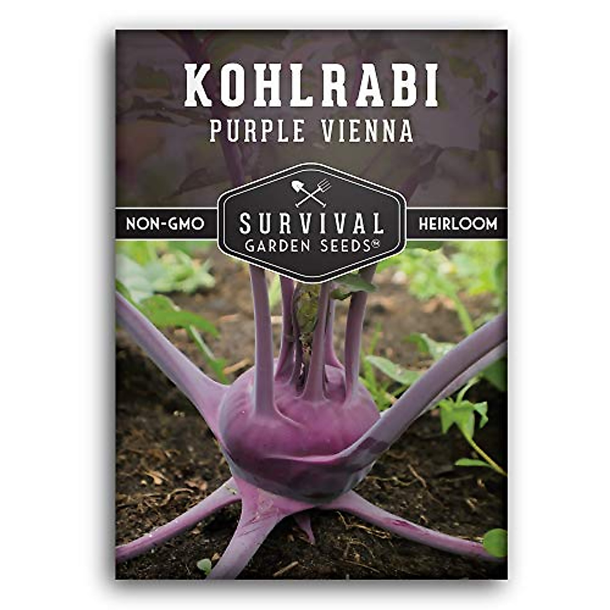 Survival Garden Seeds - Purple Vienna Kohlrabi Seed for Planting - Packet with Instructions to Plant and Grow Unique Cruciferous Vegetables in Your Home Vegetable Garden - Non-GMO Heirloom Variety