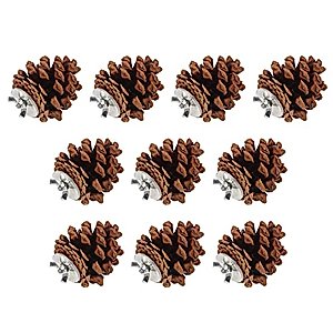 10Pcs Natural Pine Cones, Pinecone Decor, Bird Chewing Toys, Pet Bird Birdcages Hanging Tearing Toys with fixing nuts and washers for Parakeet Cockatiel Conure African Grey Lovebirds Budgies Cockatoos