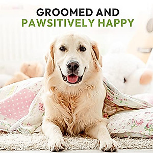 Undercoat Rake for Dogs & Cats - Double Sided Comb for Detangling and Removing Knots - 2 Sided Dematting Tool - Deshedding Brush for Grooming Pets with Long Hair Prone to Matting - Ebook Guide