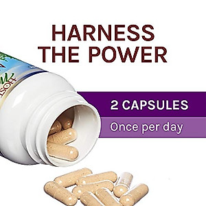 Host Defense, MyCommunity Capsules, Advanced Immune Support, Mushroom Supplement with Lion’s Mane and Reishi, Unflavored, 120