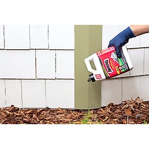 Amdro Ant Block Home Perimeter Ant Bait Granules 24 Ounces