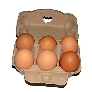 Egg Container 20pcs Box Egg Carton Eggs Pulp Packing Box Egg Tray