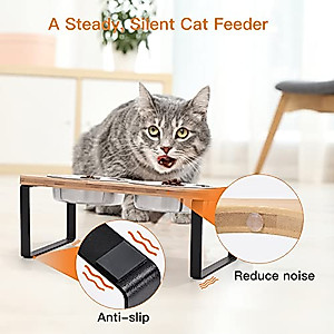AKAOLA Cat Food Bowls Elevated Tilted 10°Raised Cat Bowls Whisker Friendly Food & Water Bowls Stand Feeder for Cat & Puppy Non-Slip Anti-Noise