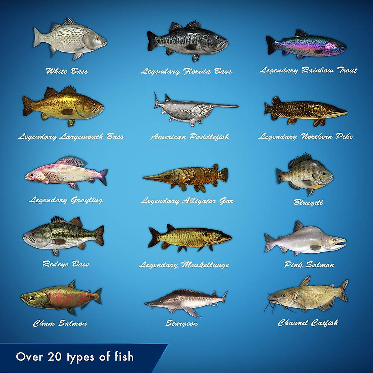 Legendary Fishing - PlayStation 4 Standard Edition