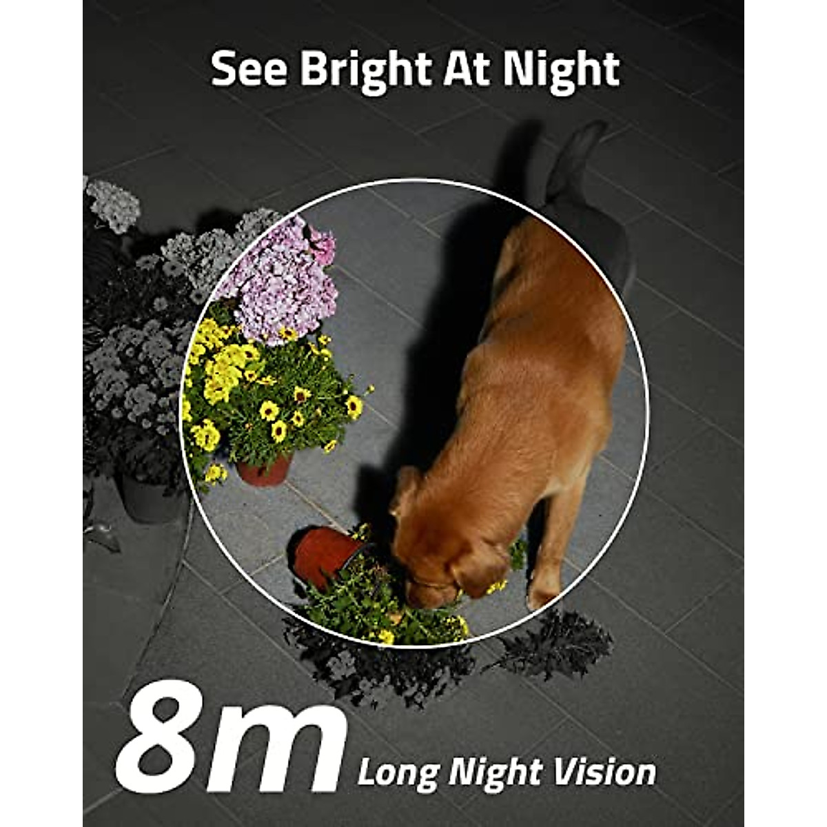 eufy security Outdoor S230 SoloCam S40, Solar Security Camera, Wireless Outdoor Camera, Battery Camera, Integrated Solar Panel, Spotlight Camera, 2K Resolution, 2.4 GHz Wi-Fi, No Monthly Fee, Motion Only Alert