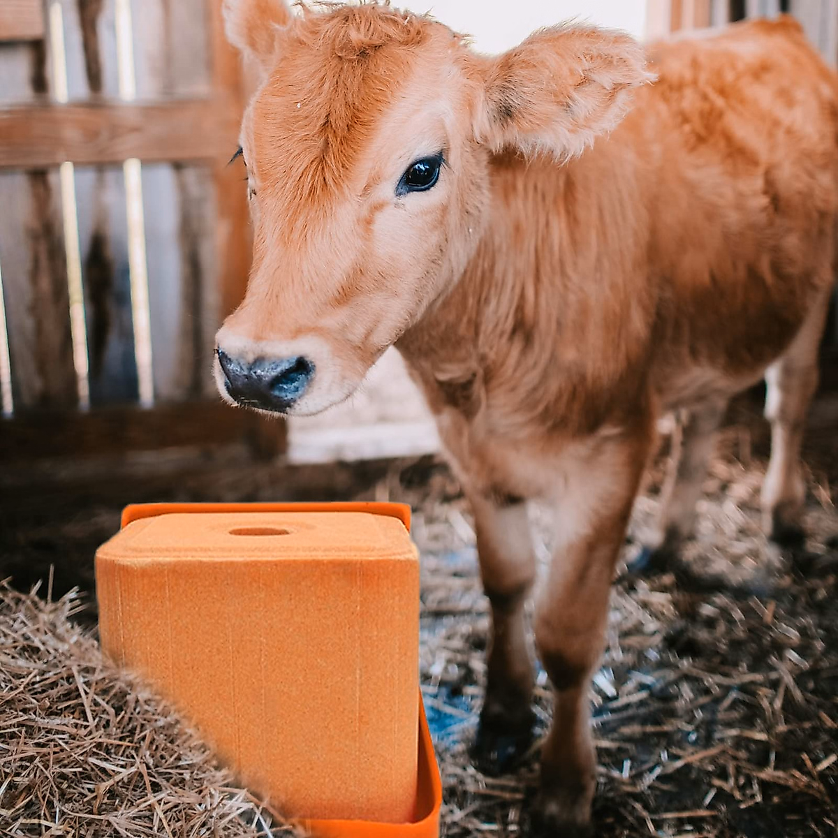 ULTECHNOVO Mineral Salt Block Holder Livestock Salt Block Feeder Farm Animal Feeding Containers Salt Lick Feeding Boxes for Horses Cattle Sheep Orange