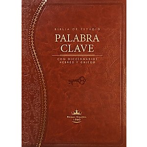 Biblia de Estudio Palabra Clave (Marron) (Spanish Edition)