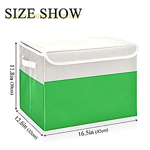 DOMIKING Rustic Neon Green Large Storage Bin with Lid Collapsible Shelf Baskets Box with Handles Closet Organizer for Bedroom Living Room Kid's Room