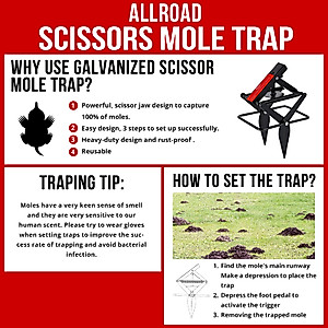 Mole Trap That Kill Best, ALLRoad Easy Setup Black Mole Trap for Lawns, Reusable and Non-Toxic Eliminator Scissor Trap - Galvanized Steel 2 Pack