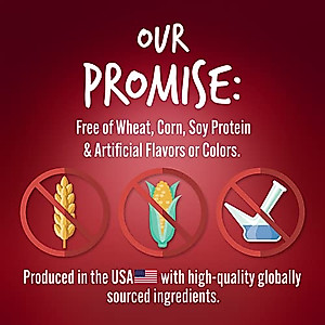 Fruitables Skinny Mini Dog Treats – Healthy Treats for Dogs – Low Calorie Training Treats – Free of Wheat, Corn and Soy – Apple Bacon – 5 Ounces