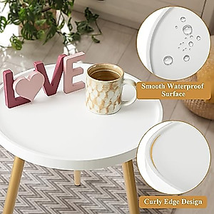 danpinera Round Side Table, Metal Legged Accent Table with Wooden Tray, Small Round End Table for Living Room, Bedroom, Nursery, White & Gold