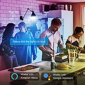 DAYBETTER Smart Light Bulbs, Alexa Light Bulb, WiFi Light Bulbs, RGBCW Color Changing Light Bulb A19 9W 800LM, Smart Bulbs that Work with Alexa & Google Assistant, 2.4Ghz only, No Hub Required,10 Pack