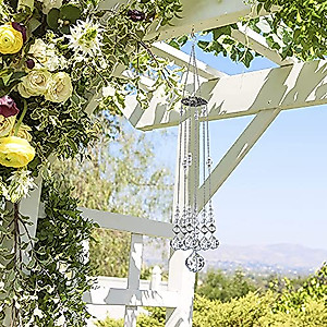 H&D HYALINE & DORA Crystals Ball Prisms Suncatcher Tree of Life Hanging Ornament Rainbow Maker for Home,Garden Fengshui Decoration