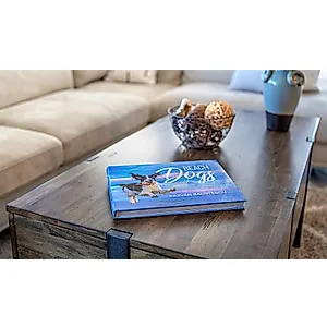 BEACH DOGS: A Coffee Table Photography Book of Joy for Dog Lovers