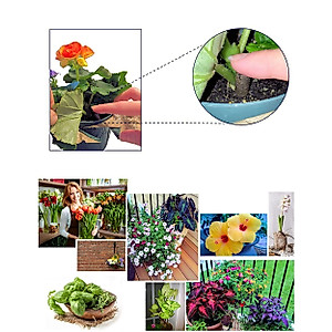 EarthPods Premium Flower Fertilizer - Easy Organic Flower Plant Food Spikes - 100 Capsules - Boost Blossoms (Great for Roses, Potted Annuals, Perennials, Flower Bulbs, Hanging Baskets)