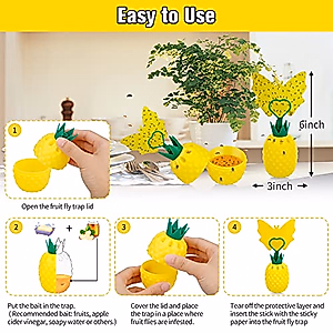 HiAnifri Fruit Fly Trap for Indoors, 2023 Upgrade Fruit Fly Trap with Double Side Sticky Trap, Non-Toxic Reusable Fly Catcher Gnats Killer Trap Indoor Comes with Bait for Home/Plant/Kitchen (2 Pack)