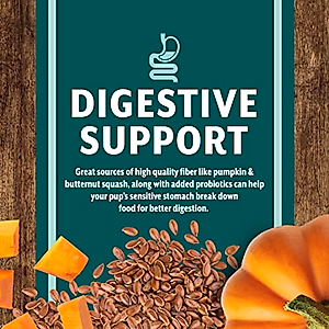 Venture Roasted Lamb & Butternut Squash Limited Ingredient Dry Dog Food, 4 lbs. (1710565E)