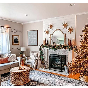 Hartshone Bohemian Farmhouse Living Room Bedroom Dining Room Area Rug - Boho Vintage Distressed - Persian Tribal Style Carpet - Dark Brown, Grey, Tan, Beige, Khaki, Charcoal, Light Black - 6'7" x 9'