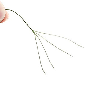 ANGRYFISH 4 Strand Super Strong Braided Fishing Line- Less Expensive -Zero Stretch -Small Diameter-Suitable for Novice Fishermen(Purple,10LB/0.10MM-150Y)