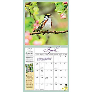 Audubon Birds in the Garden Wall Calendar 2021
