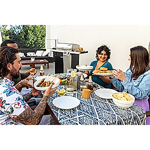 Char-Broil 22652143 Edge Electric Grill