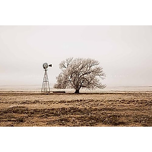 Country Photography Print (Not Framed) Sepia Picture of Old Windmill and Tree Covered in Frost on Winter Day in New Mexico Western Wall Art Farmhouse Decor (30" x 40")