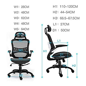 LUKEO Ergonomic Office Chair Desk Chair Adjustable Seat Cushion and Headrest, Breathable Mesh Backrest, Black (no Footrest)