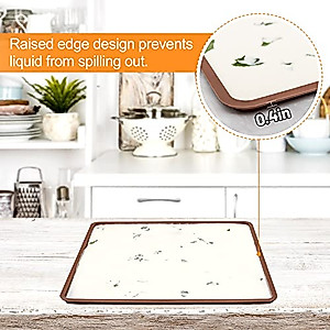 6 Pcs Silicone Dehydrator Sheets with Edge for 14" x 14" Trays, Non-stick Silicone Tray Liner for Excalibur Dehydrator, Reusable Dehydrator Mats Square Dryer Mats for Fruits Meat Vegetables Herbs