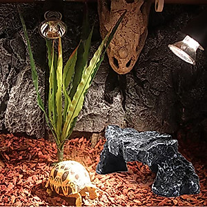 MINYULUA Reptile Hideout Cave Bearded Dragon Rock Hide Cave Turtle Basking Hide Habitat Shelter Rock Hide Hideout for Aquarium Tortoise Small Lizards Fish Amphibians